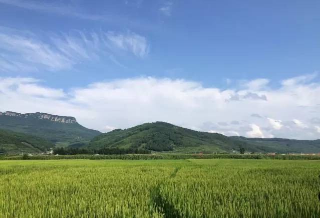 桓仁大米 桓仁大米和五常大米 新宾大米 第8页 大山谷图库
