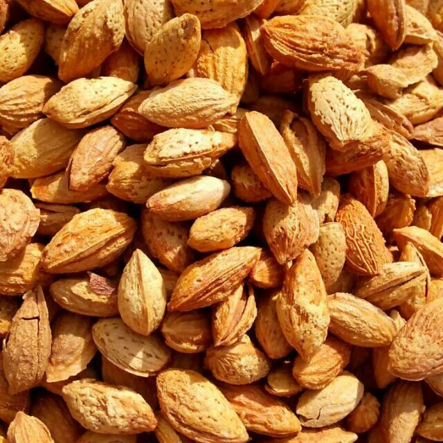 巴达姆,巴达姆图片_大山谷图库