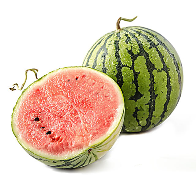 南汇8424西瓜图片,8424西瓜图片,8424西瓜和麒麟瓜(第13页)_文秘苑图库