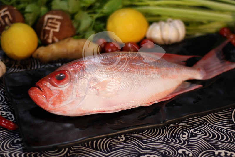 大眼鲷,深海石斑鱼,大眼红鲷鱼图片_文秘苑图库