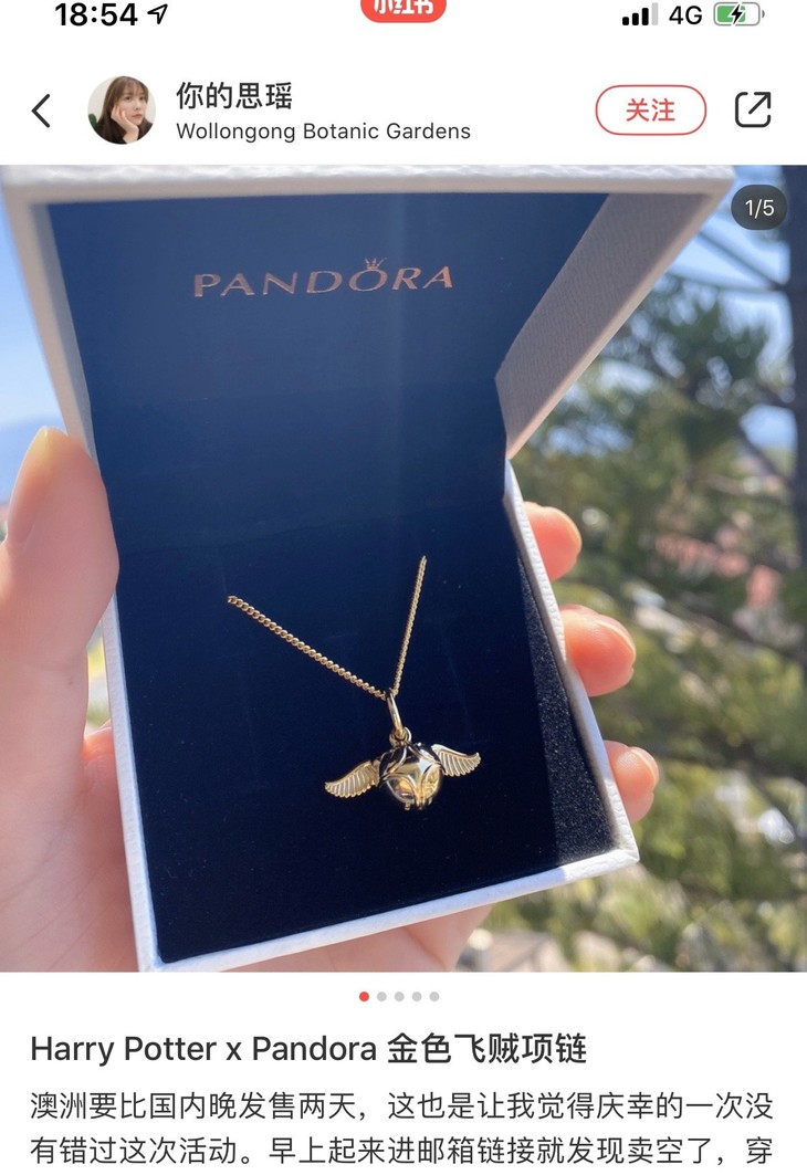 哈利波特x潘多拉,波特潘多拉,潘多拉波特系列(第11页)_大山谷图库