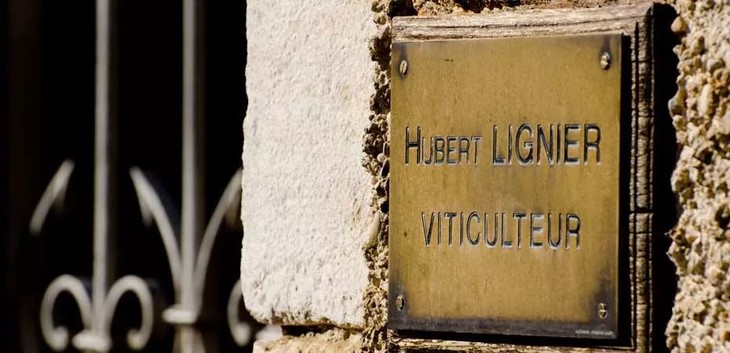 羽白丽涅酒庄吉贝尔 Hubert Lignier, Bourgogne Pinot Noir - Plant Gilbert 2017招商价格 ...